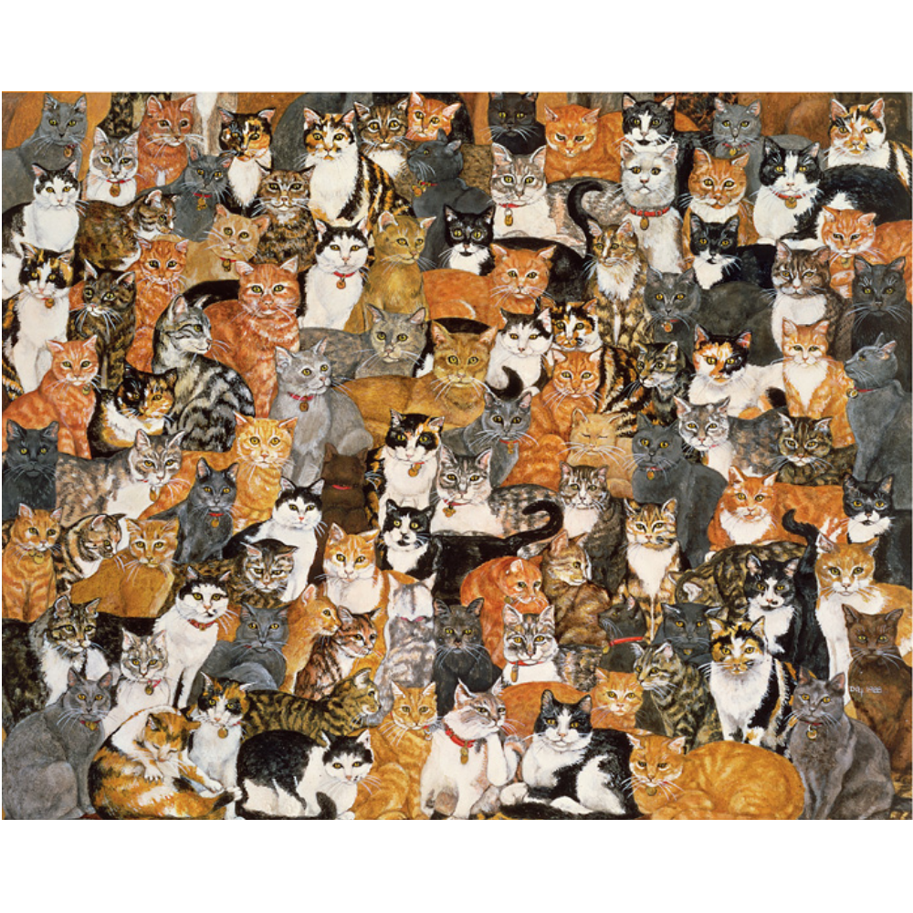 Ditz: Double Cat-Spread – Thirsty Meeples